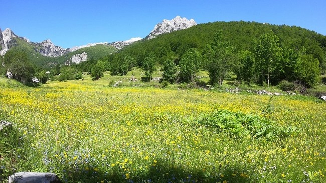 Moti sot dhe dy ditë ardhshme në vendin tonë - Motilokal.com Moti sot dhe dy ditë ardhshme në vendin tonë - Motilokal.com